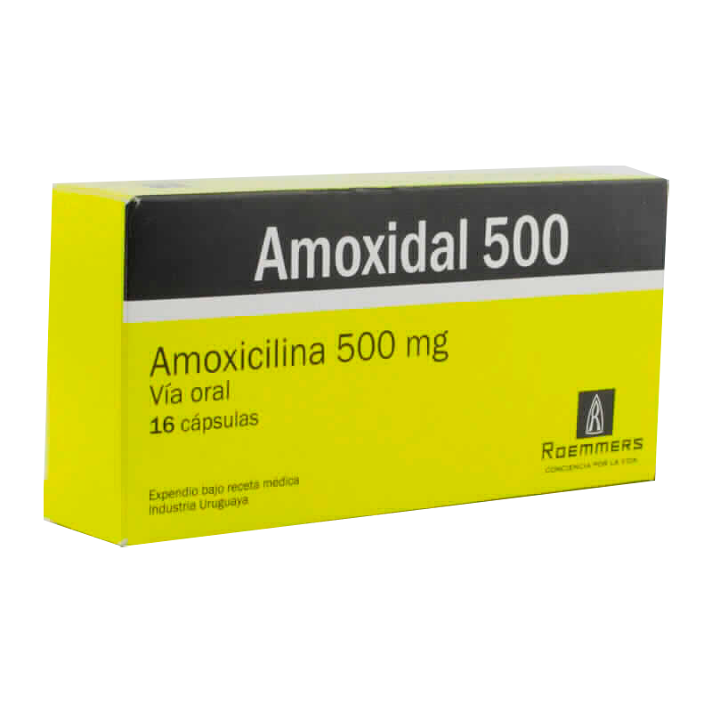 Amoxidal 500 Amoxicilina 500 mg - Caja de 16 cápsulas | Punto Farma