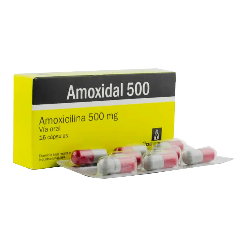 Amoxidal 500 Amoxicilina 500 mg - Caja de 16 cápsulas | Punto Farma