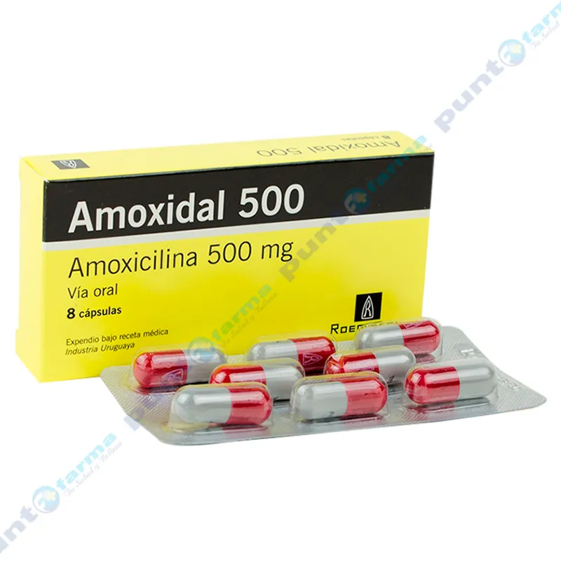 Amoxidal 500 Amoxicilina 500 mg - Caja de 8 Cápsulas | Punto Farma