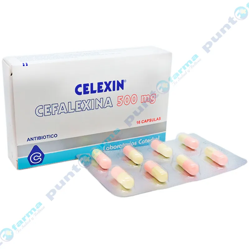 Celexin Cefalexina 500 mg - Caja de 16 cápsulas | Punto Farma
